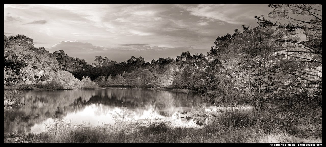 How to Use the Zone System in Photography | PetaPixel
