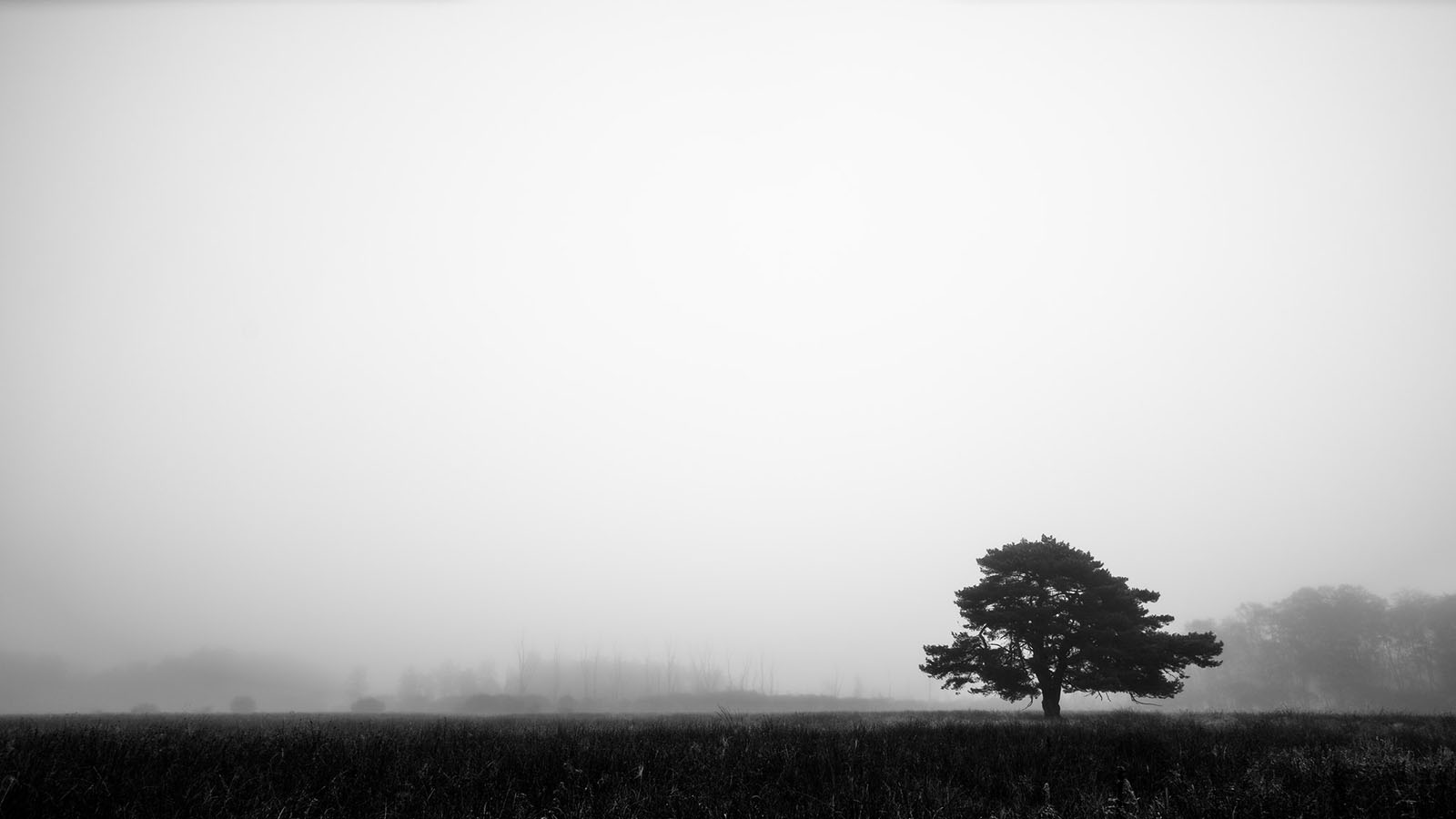 Negative Space: How to Add Something with Nothing | PetaPixel