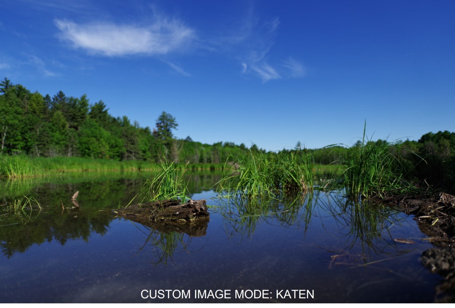 New Pentax Photo Color Modes Only Work with Certain Lenses | PetaPixel