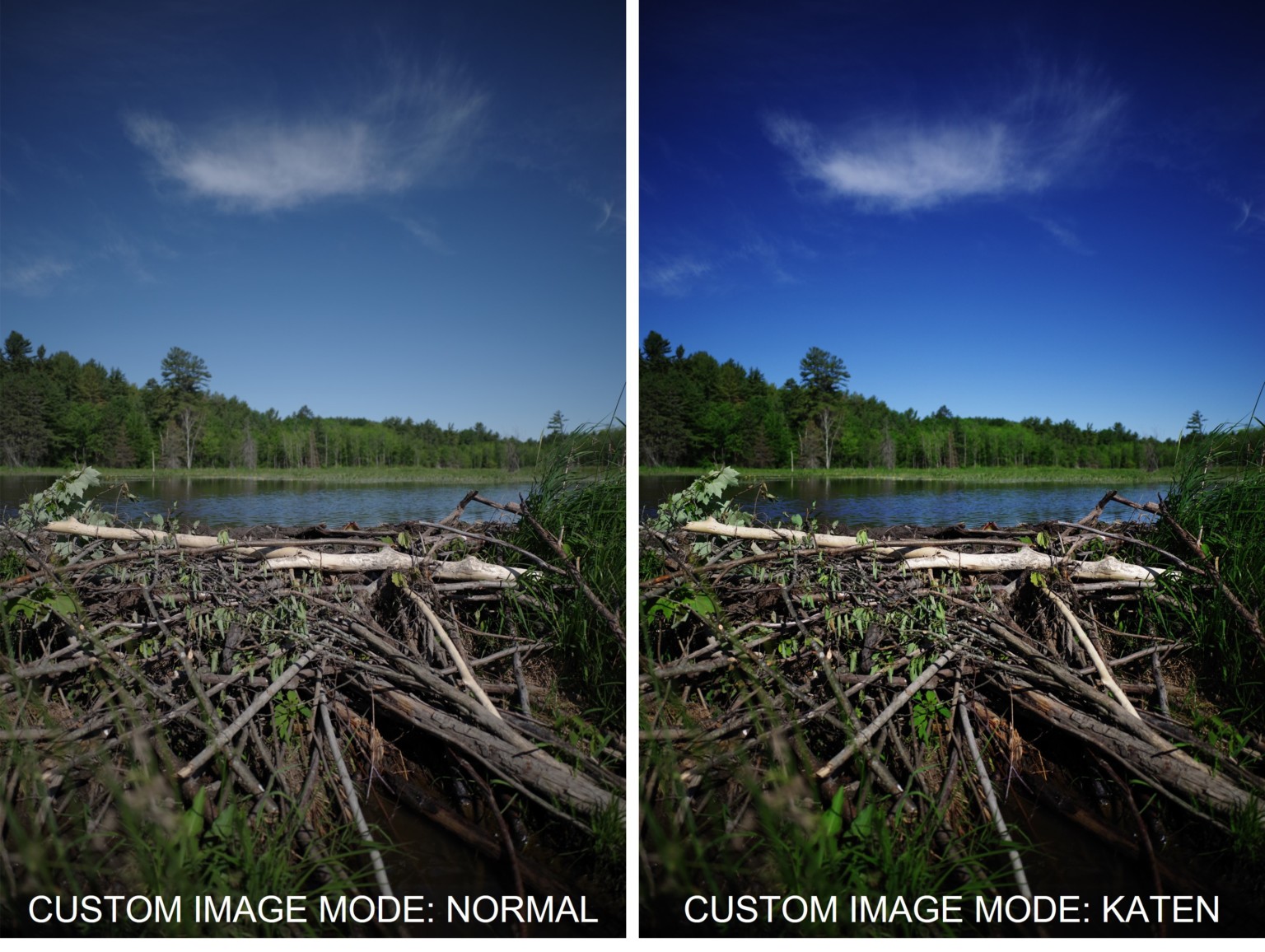 New Pentax Photo Color Modes Only Work with Certain Lenses | PetaPixel