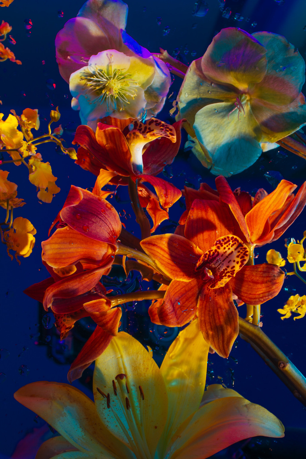 Photographer Leverages Vivid Colors to Convey a Visceral Vibe | PetaPixel