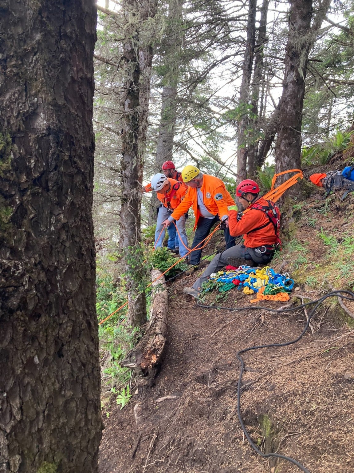 Landscape Photographer Dies Falling From 300-Foot Cliff in Oregon ...