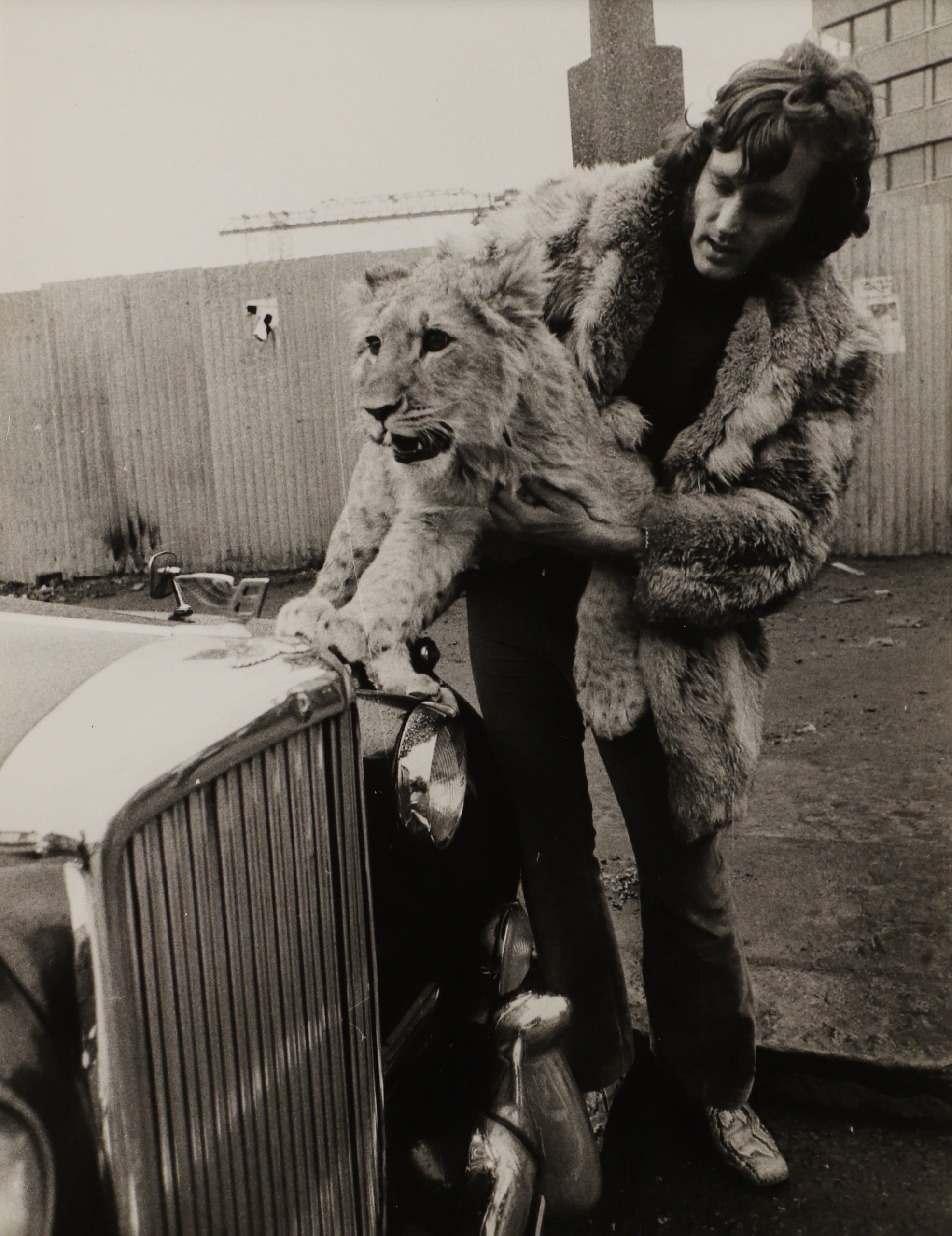 Photos of Christian the Lion Who Lived in London in the Swinging 60s ...