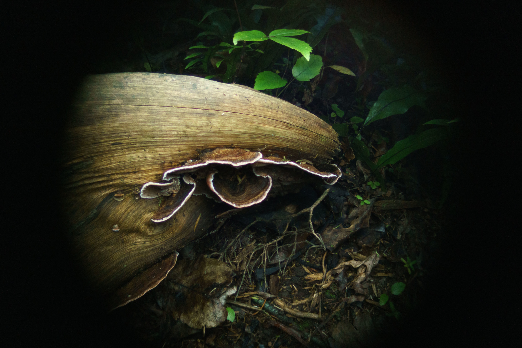 Photographer 3D Prints $25 Wide-Angle Macro Lens Using CCTV Camera ...