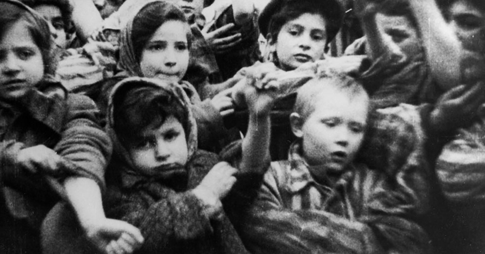 Engineer Creates AI That Identifies Photos of Unknown Holocaust Victims ...