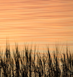 Leading Lines in Photography: A Complete Guide | PetaPixel