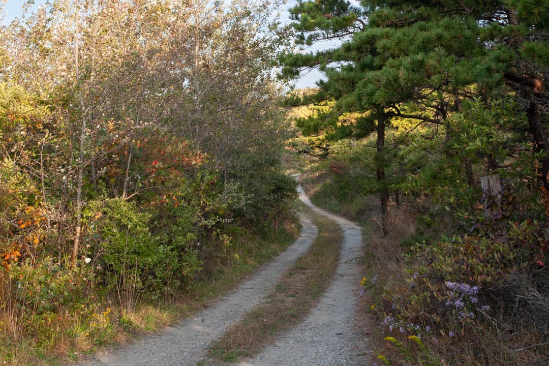 Leading Lines in Photography: A Complete Guide | PetaPixel