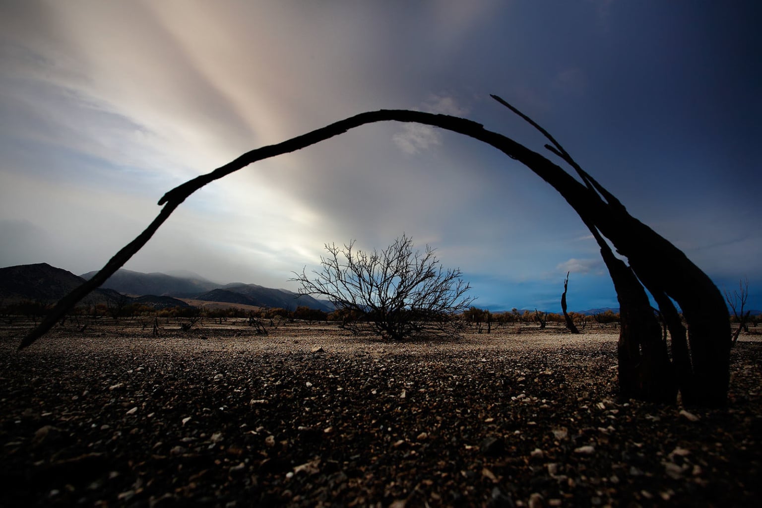 Frame Within a Frame: Natural Framing for Better Photo Compositions ...