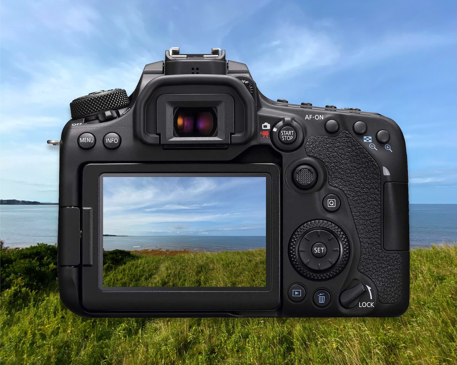 What is a JPEG? Everything You Need to Know | PetaPixel