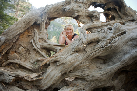 Frame Within a Frame: Natural Framing for Better Photo Compositions ...