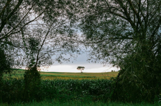 Frame Within a Frame: Natural Framing for Better Photo Compositions ...