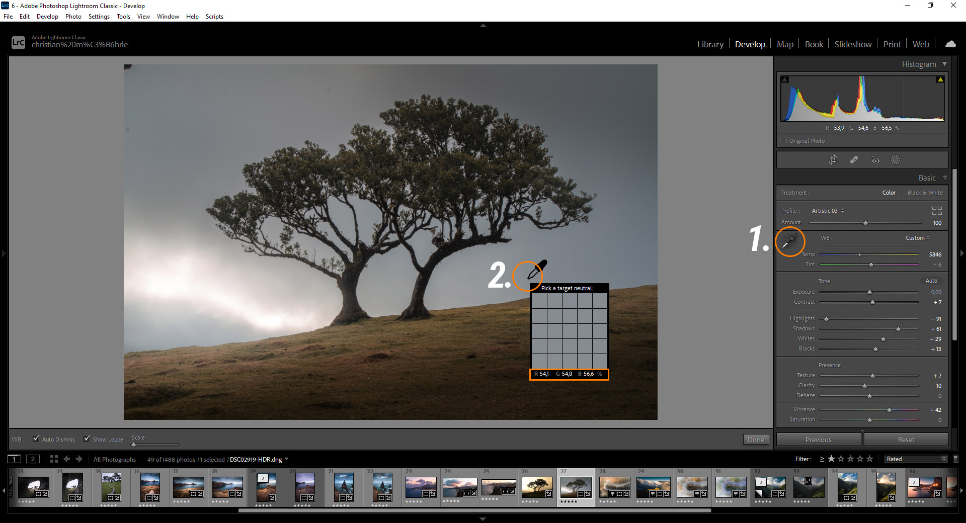 70 Adobe Lightroom Classic Tips, Tricks, and Shortcuts for Beginners ...