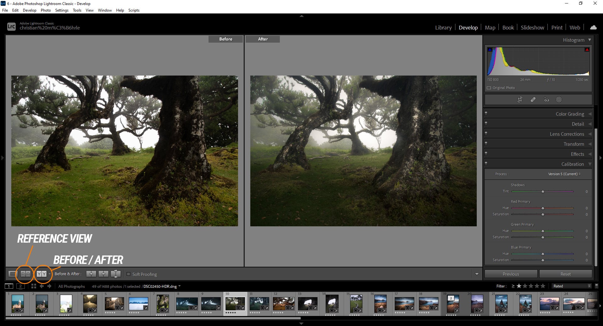 70 Adobe Lightroom Classic Tips, Tricks, and Shortcuts for Beginners ...