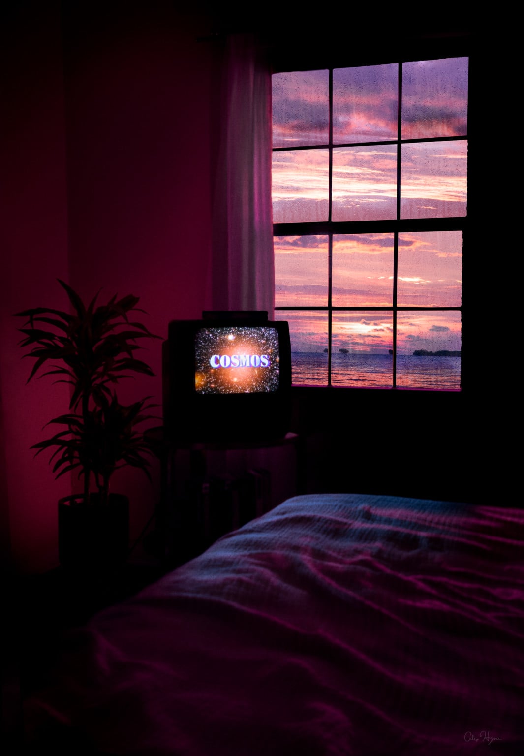 Visually Striking Images Meld Photography and Digital Art | PetaPixel