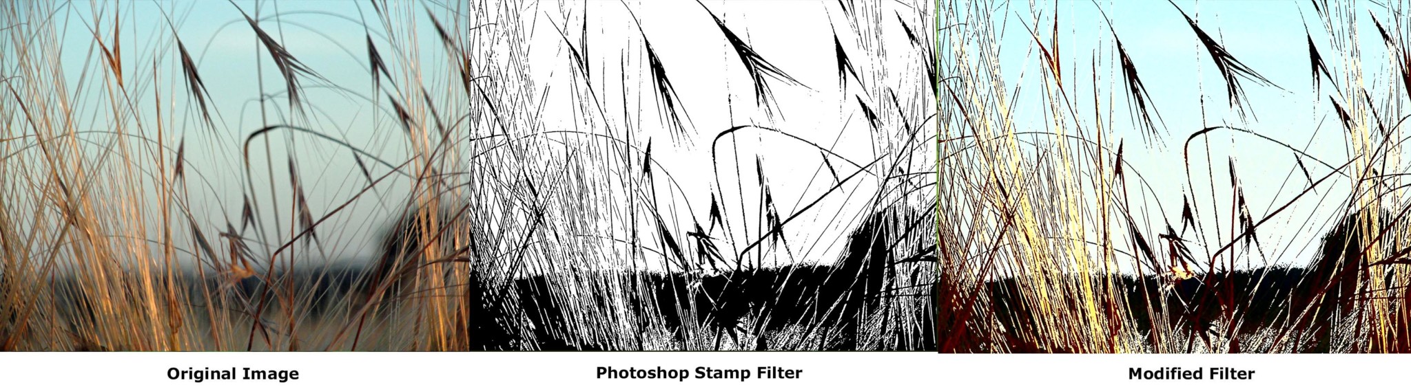 These Free Photoshop Enhanced Filters Put the Default Ones to Shame ...