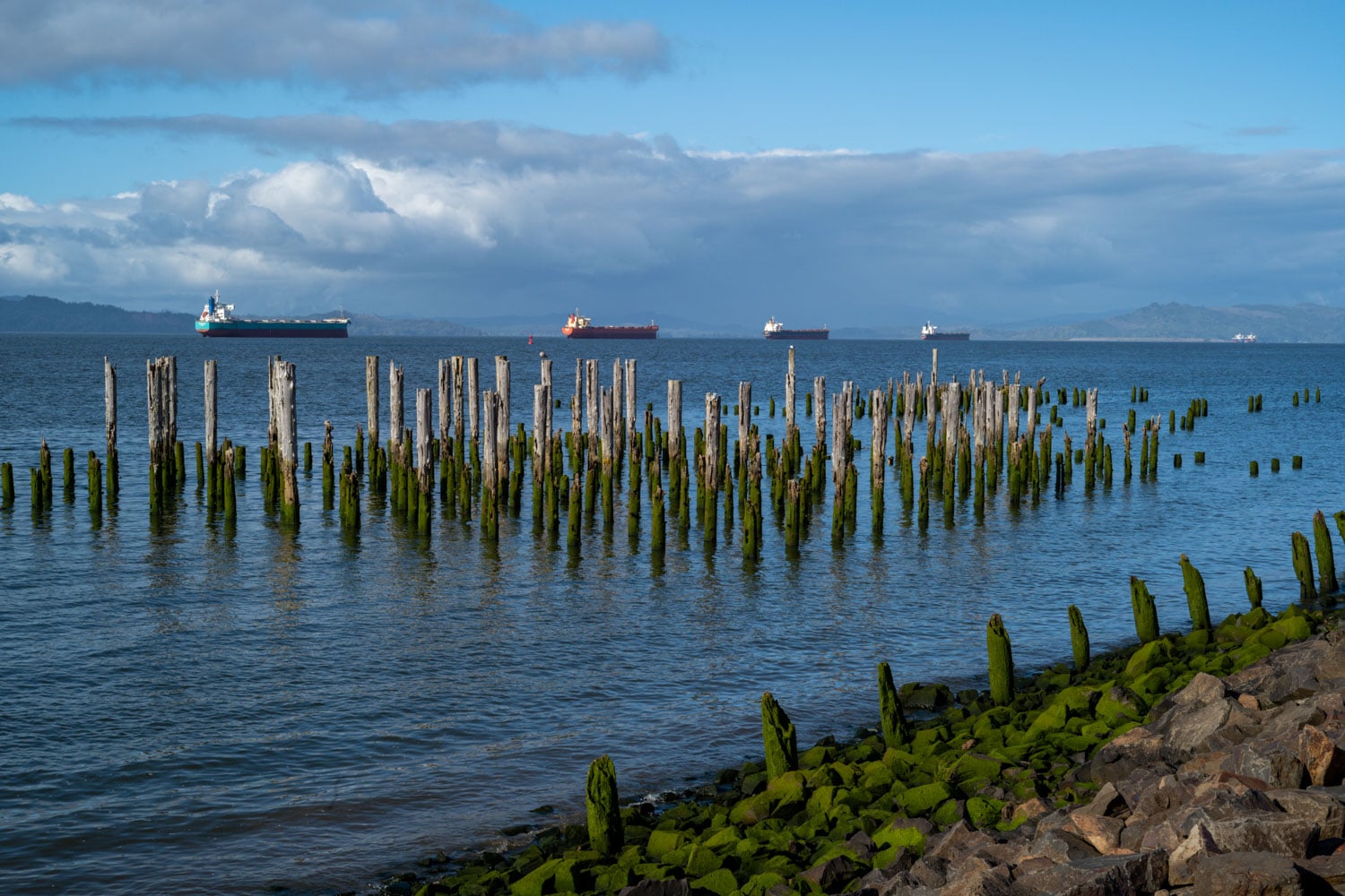 Black and White Photography: The Beginner's Guide | PetaPixel