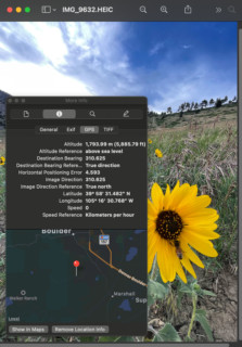 What is EXIF Data in Digital Photos? | PetaPixel
