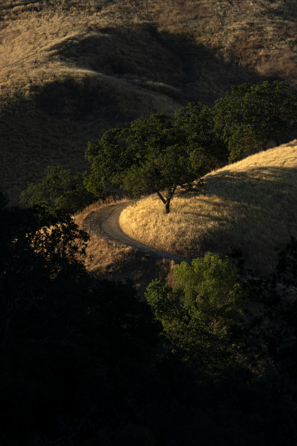 Canon EOS R7 Review: One of the Best Cameras Canon Makes | PetaPixel