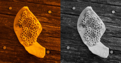 Black and White Photography: The Beginner's Guide | PetaPixel