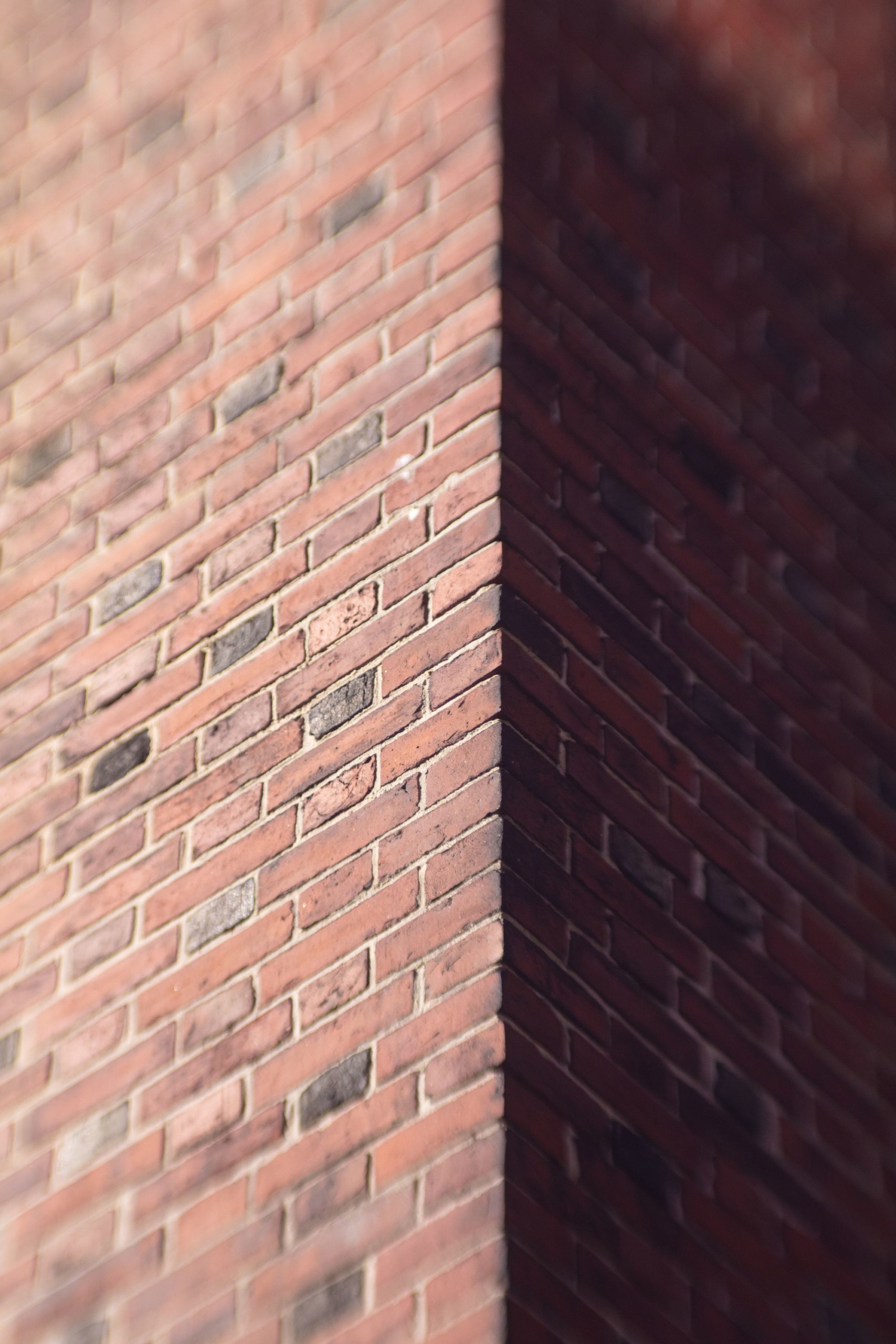 You Can 3D Print and Build This 164mm f/2.5 Lens for Less Than $15 ...