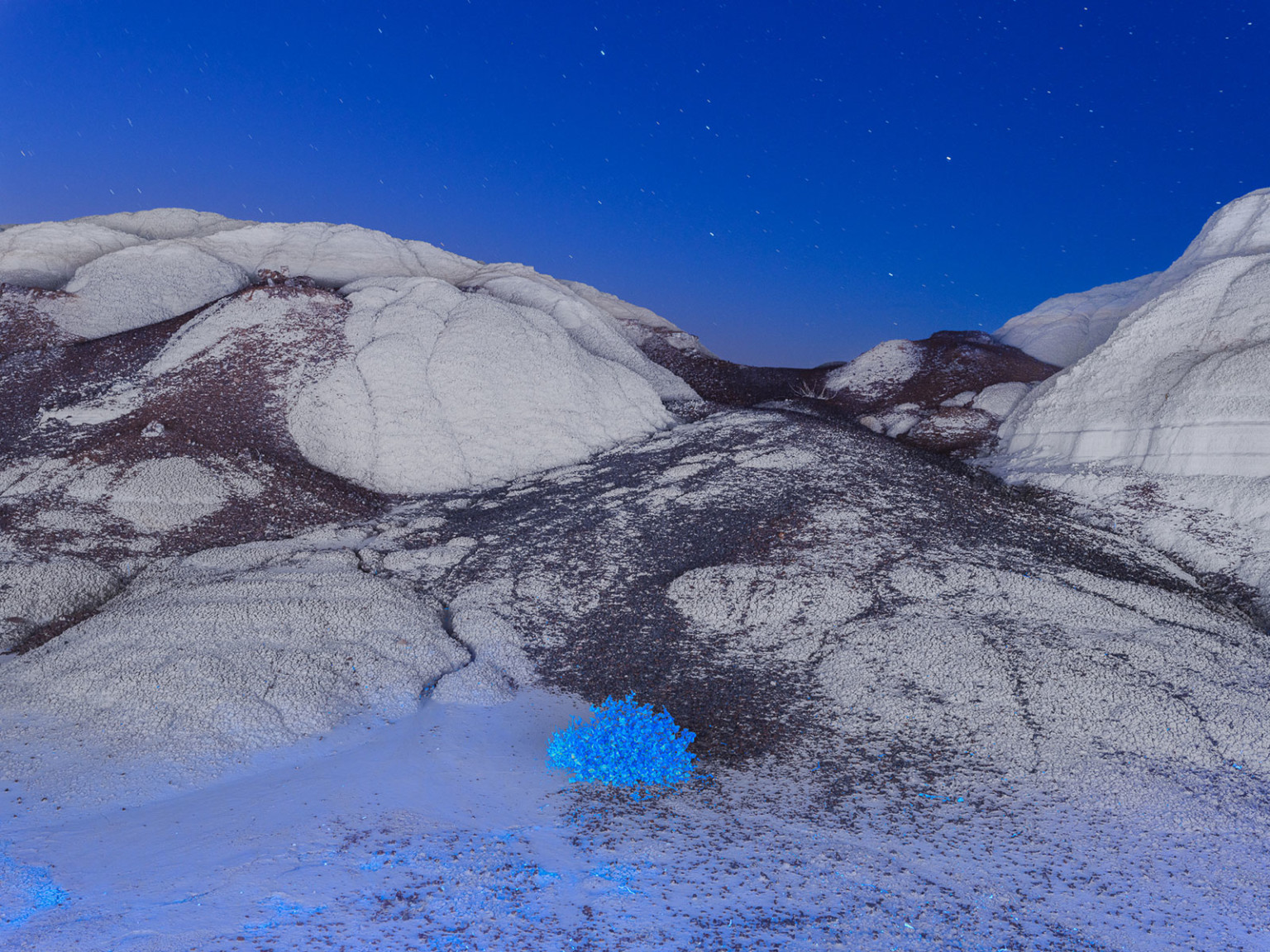 Desert Photos Illuminated by UV Light Look Straight Out of Science ...