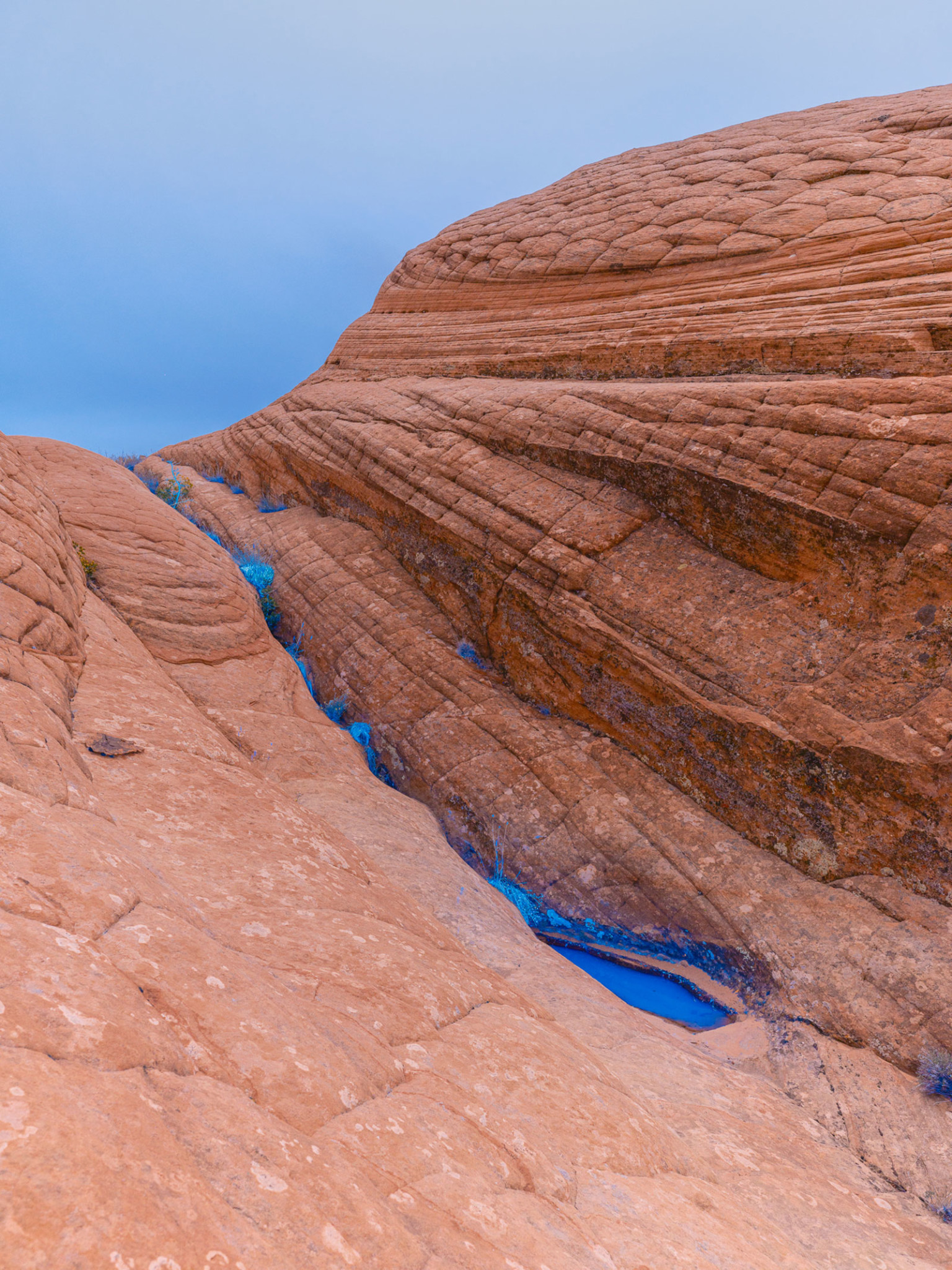 Desert Photos Illuminated by UV Light Look Straight Out of Science ...