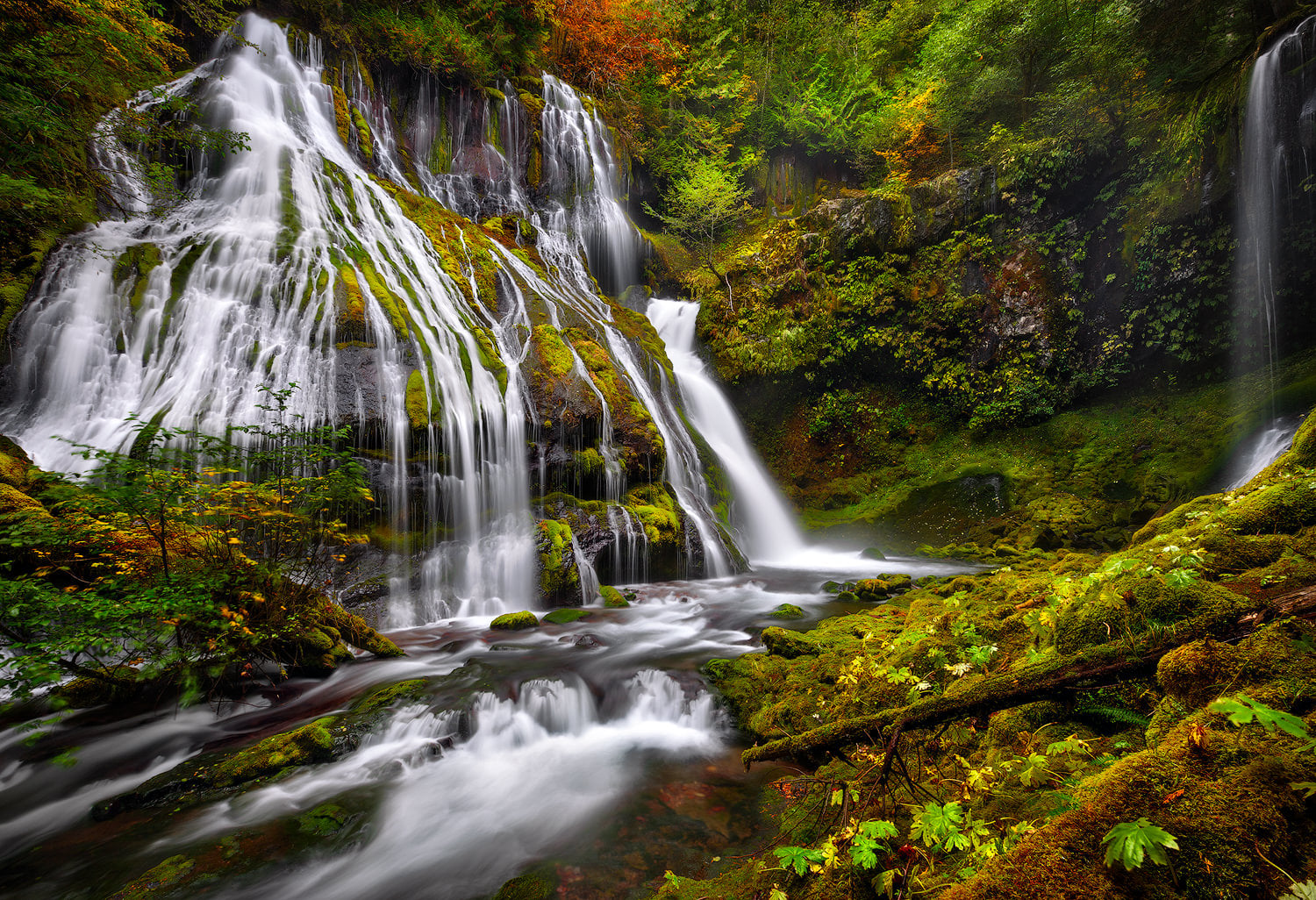 Washington State's Striking Beauty Through the Eyes of 7 Photographers ...