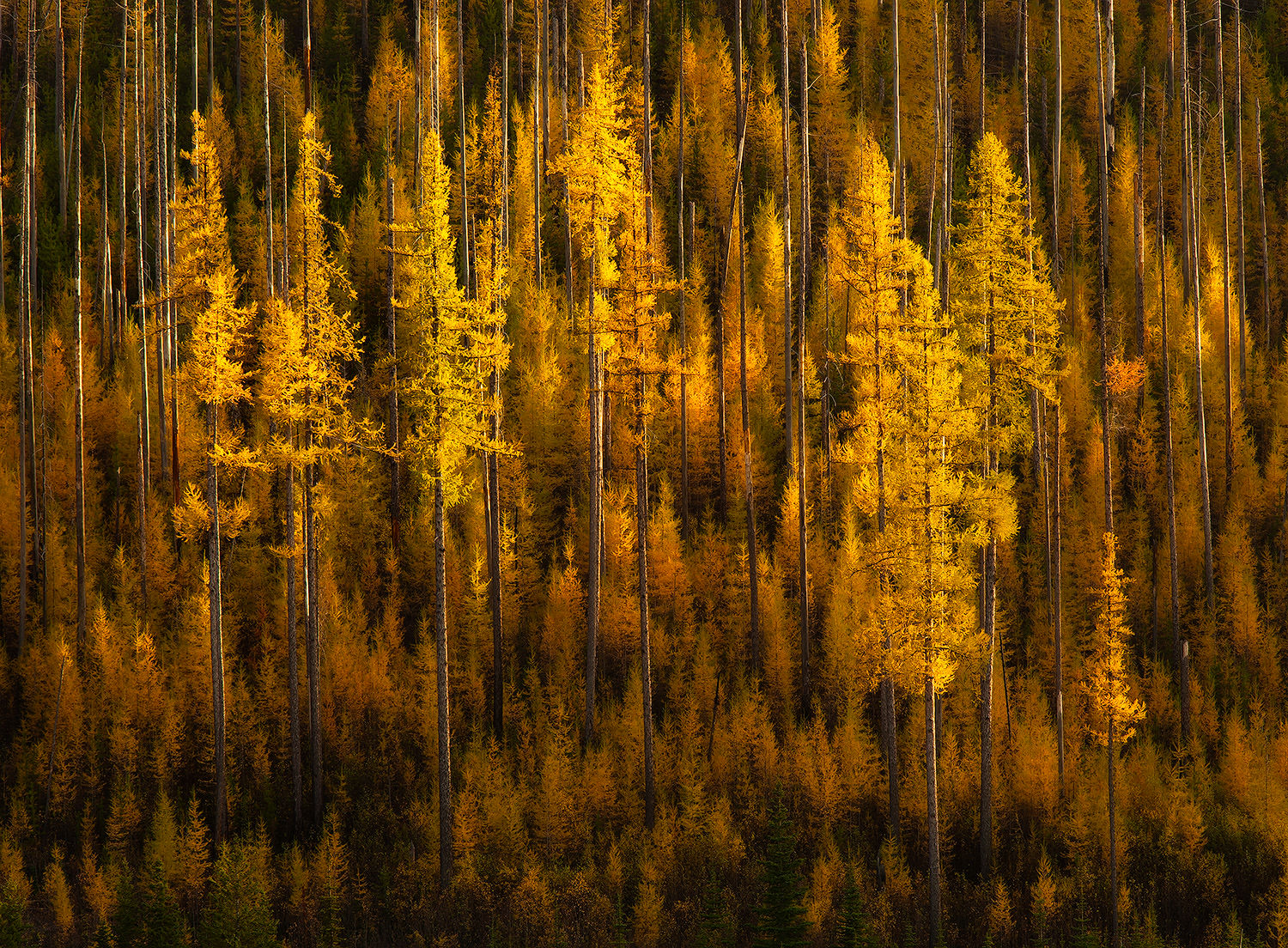 Washington State's Striking Beauty Through the Eyes of 7 Photographers ...