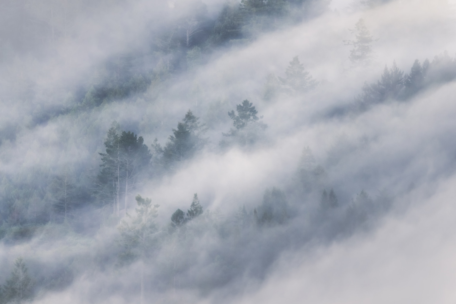 Tips To Help You Capture Excellent Long Exposure Fog Photos | PetaPixel