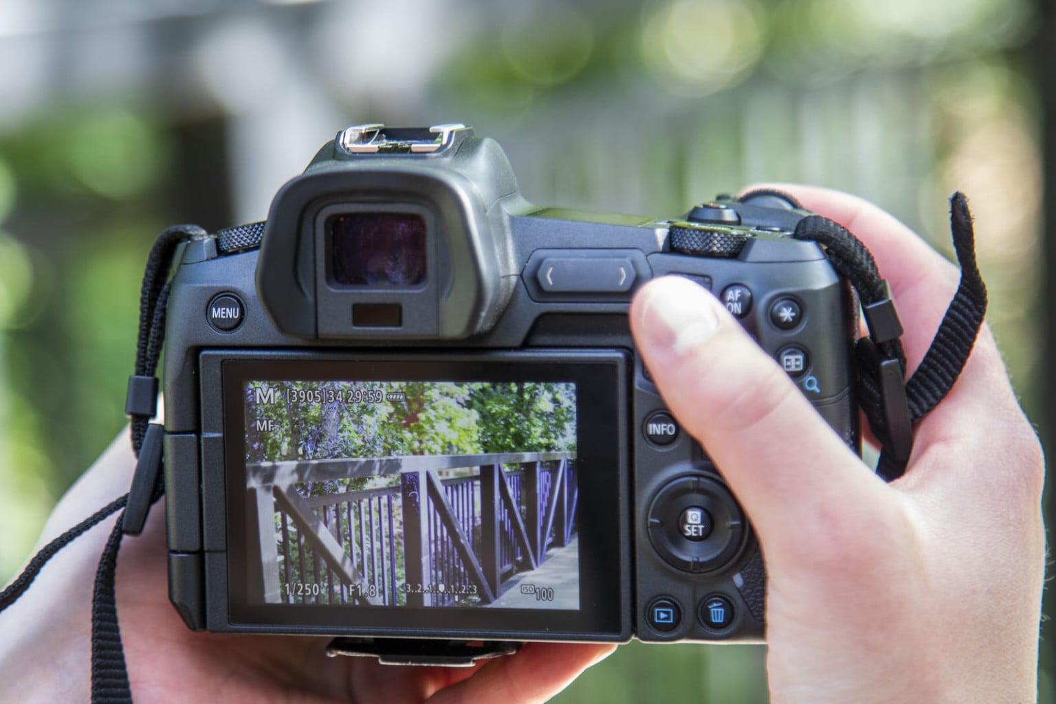 What is Focus Peaking? A Guide to the Manual Focusing Aid | PetaPixel