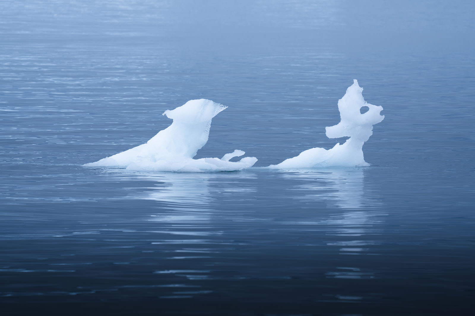 Photographer Captures the Magical Beauty of Greenland's Disko Bay ...