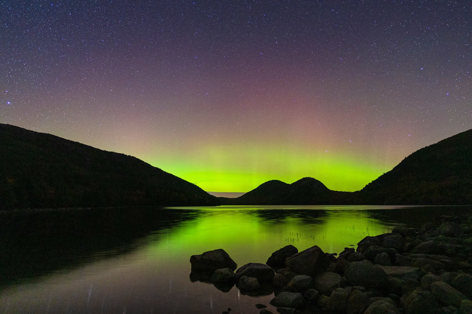 The Beginner's Guide to Tripods | PetaPixel