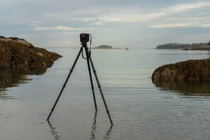 The Beginner's Guide to Tripods | PetaPixel