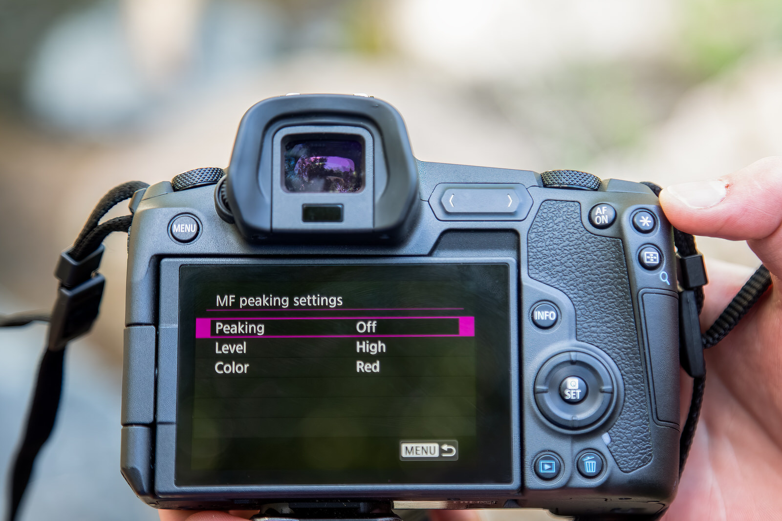 What is Focus Peaking? A Guide to the Manual Focusing Aid | PetaPixel