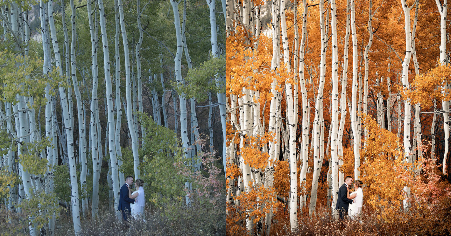 PetaPixel - Photography and Camera News, Reviews, and Inspiration