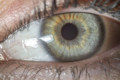 Aperture in Photography: A Complete Guide | PetaPixel