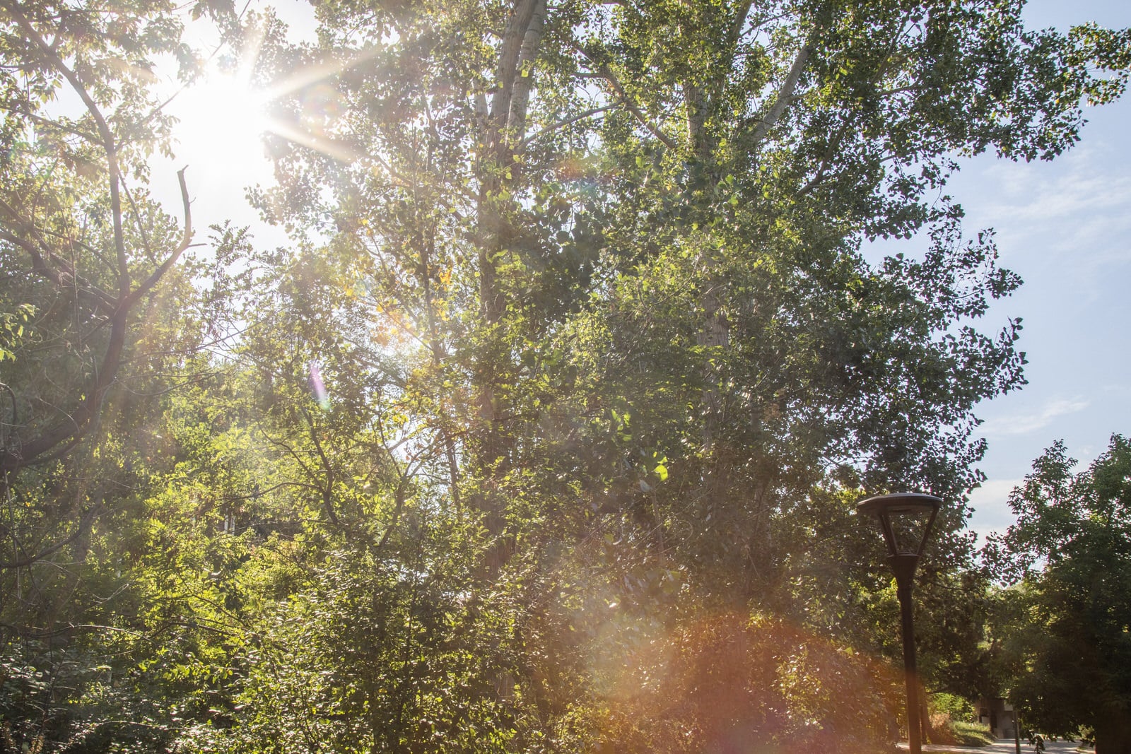 Aperture in Photography: A Complete Guide | PetaPixel