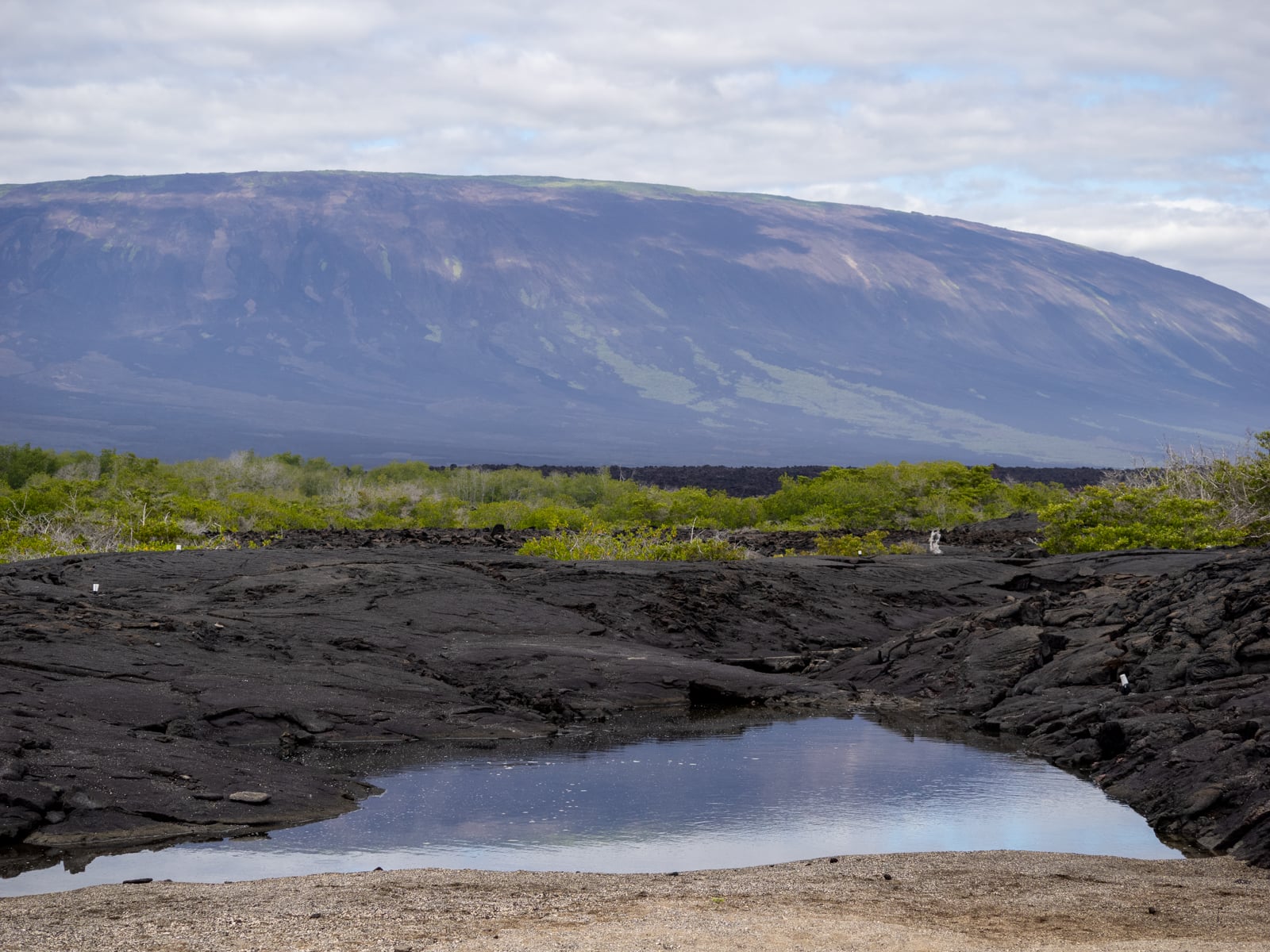 Photographing the Diverse Wildlife and Nature of the Galápagos Islands ...