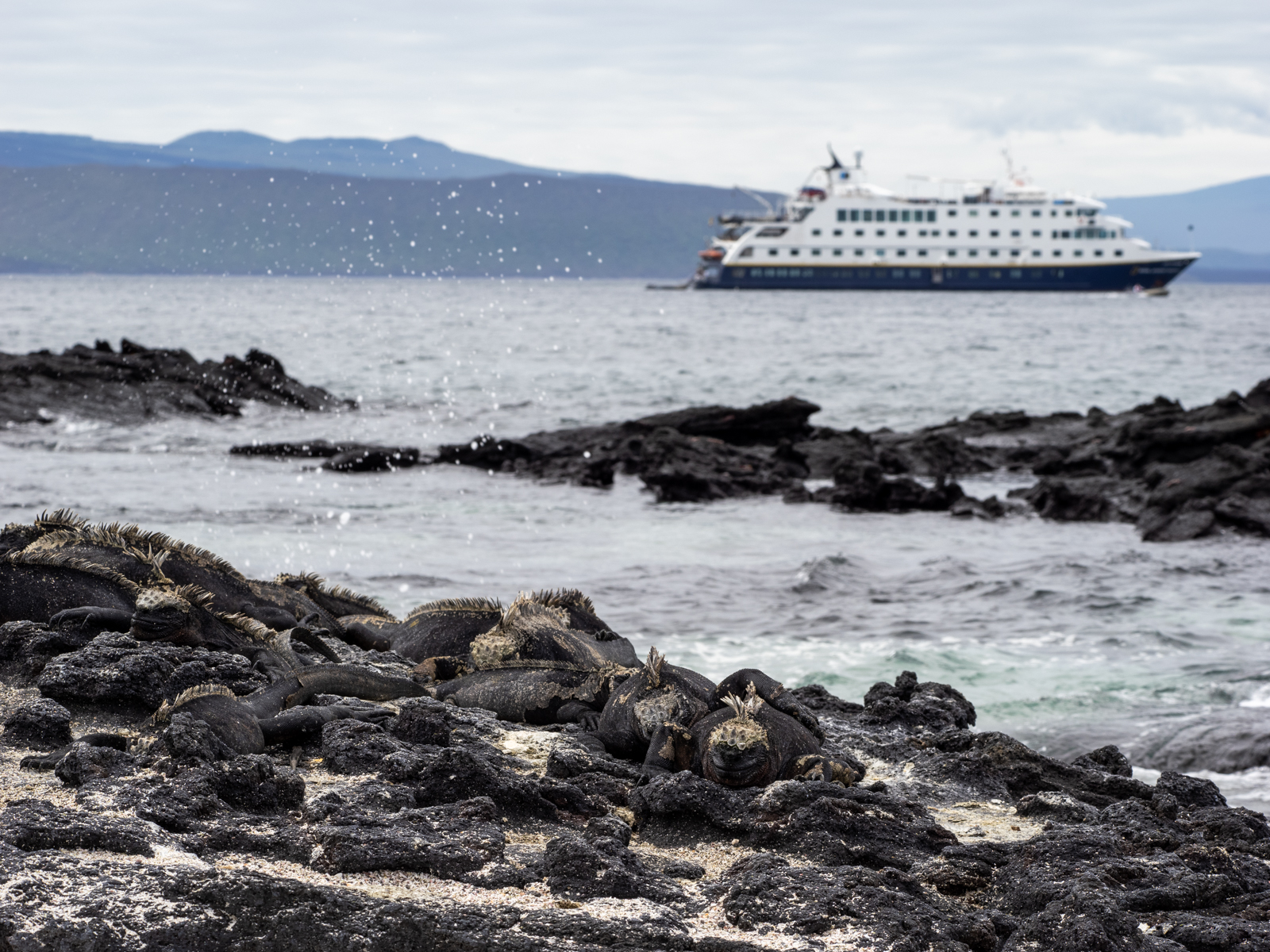 Photographing the Diverse Wildlife and Nature of the Galápagos Islands ...