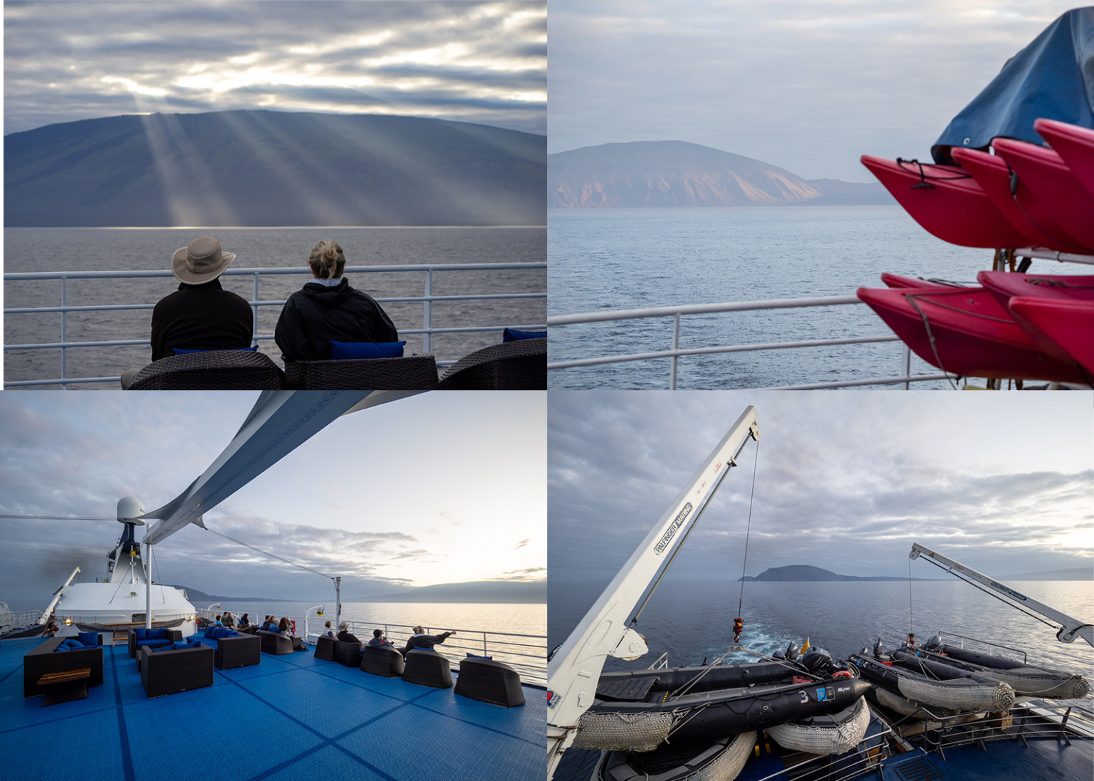 Photographing the Diverse Wildlife and Nature of the Galápagos Islands ...