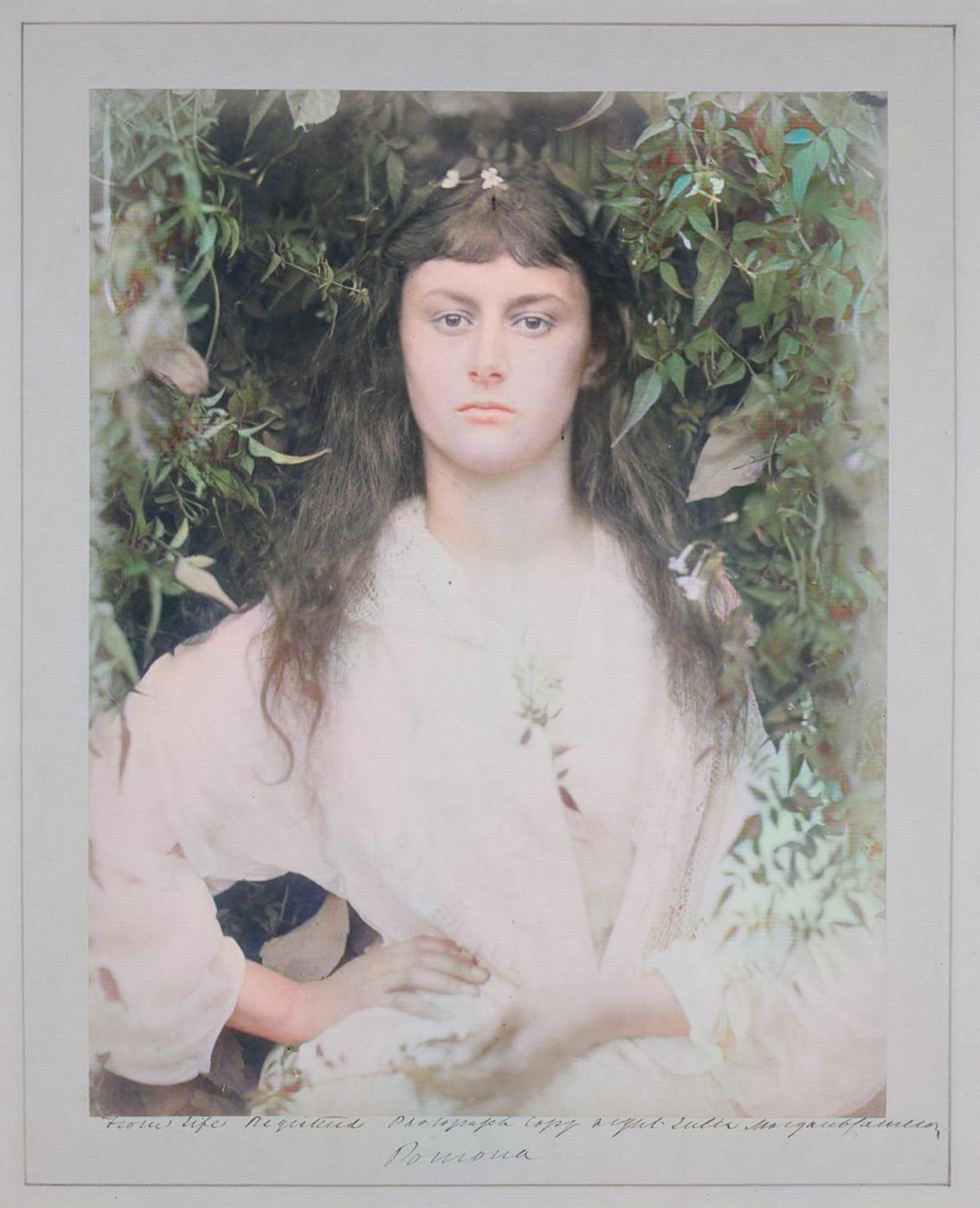 Palette is a Free Web-Based AI-Powered Photo Colorizer | PetaPixel