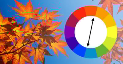 Complementary Colors in Photography | PetaPixel