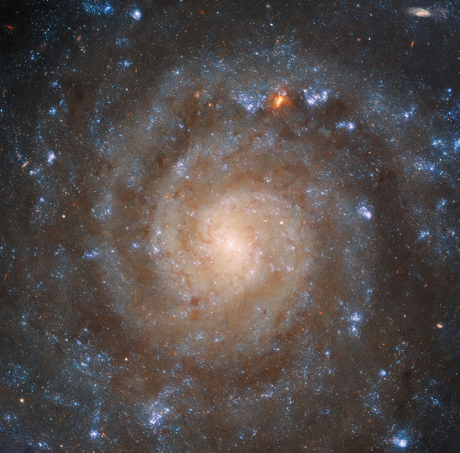 James Webb Reveals the 'Bones' of Galaxy Also Captured by Hubble ...
