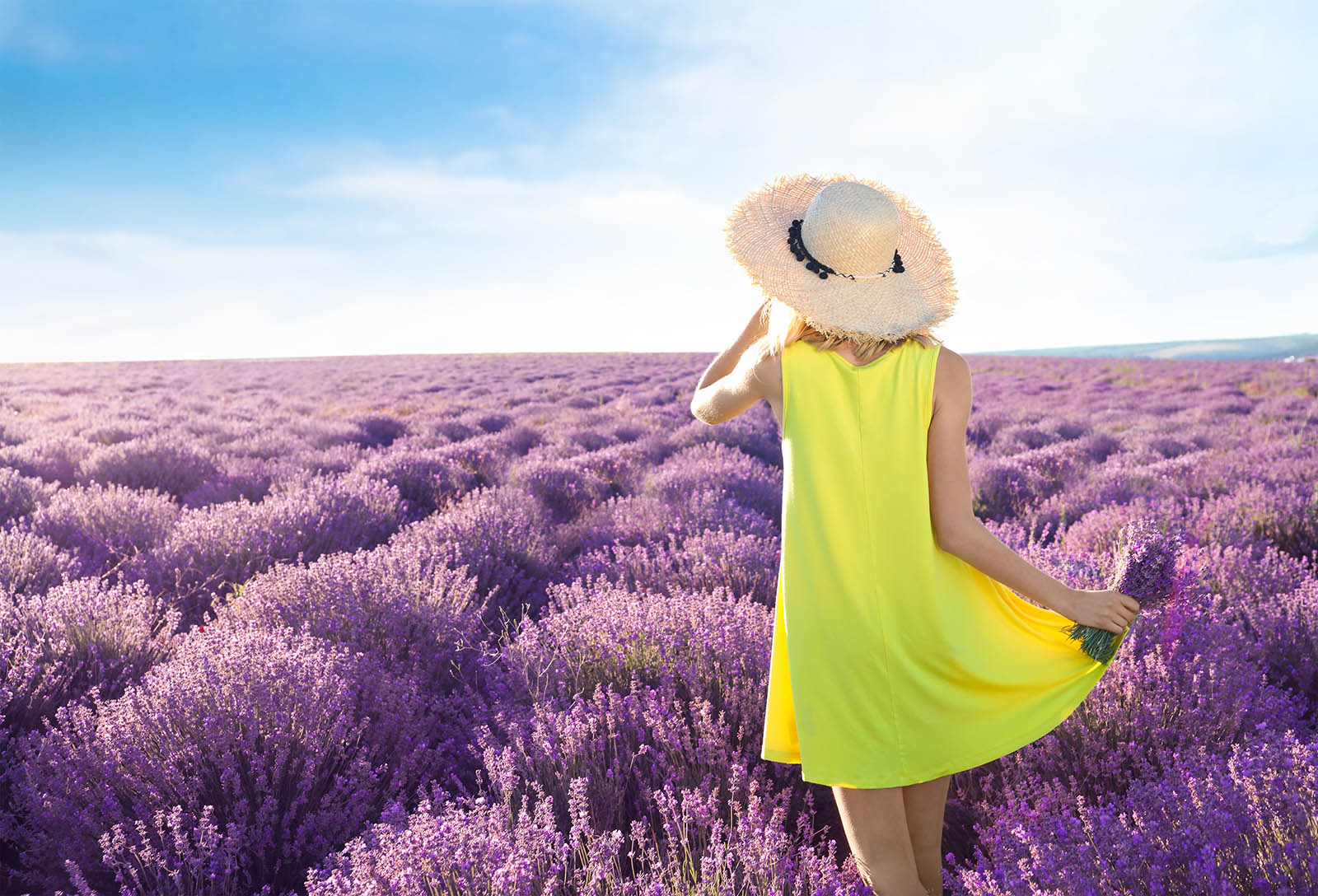 Complementary Colors in Photography | PetaPixel