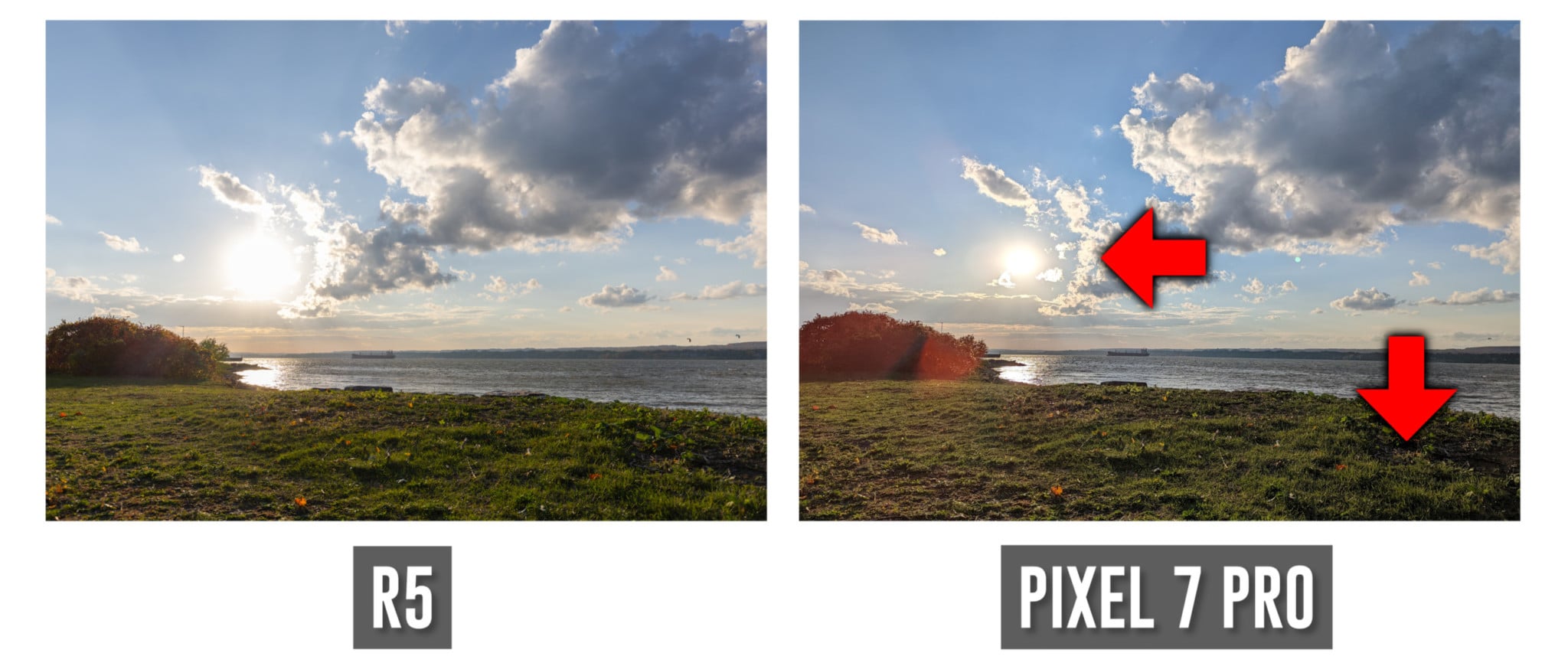 Comparing the Pixel 7 Pro to Canon R5 Shows a Gap, But It's Closing ...