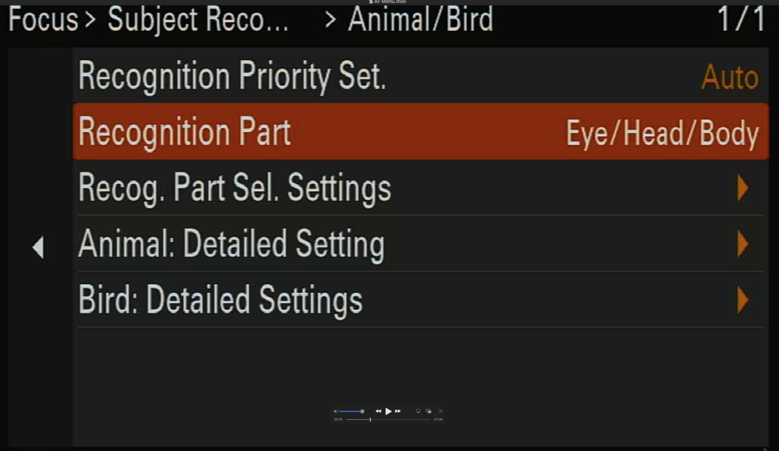 Sony Alpha 7R V Review: A Marriage of Performance and Power | PetaPixel