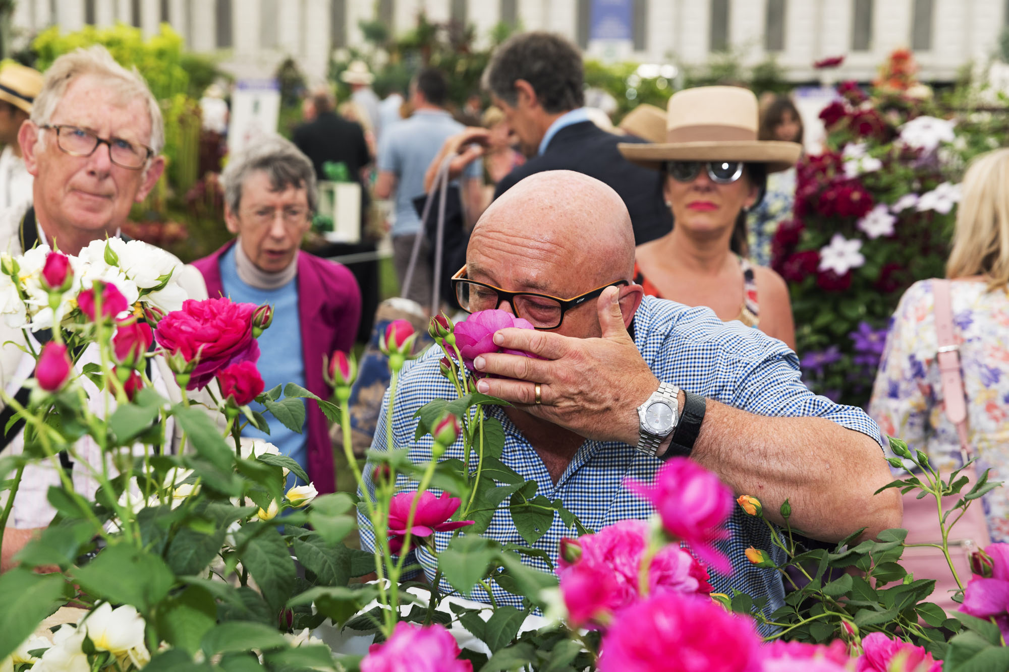 Martin Parr: Photographer of Leisure Pursuits of the Wealthy Classes ...
