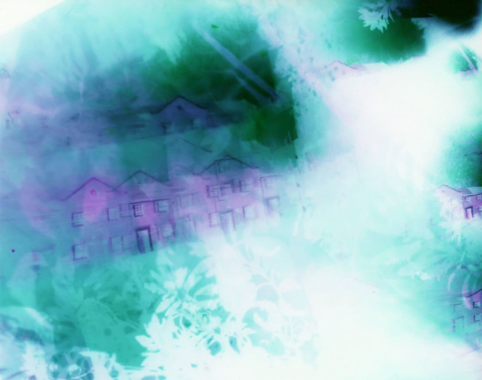 Camera-Less Photographer Creates Beautifully Abstract Cyanotypes ...