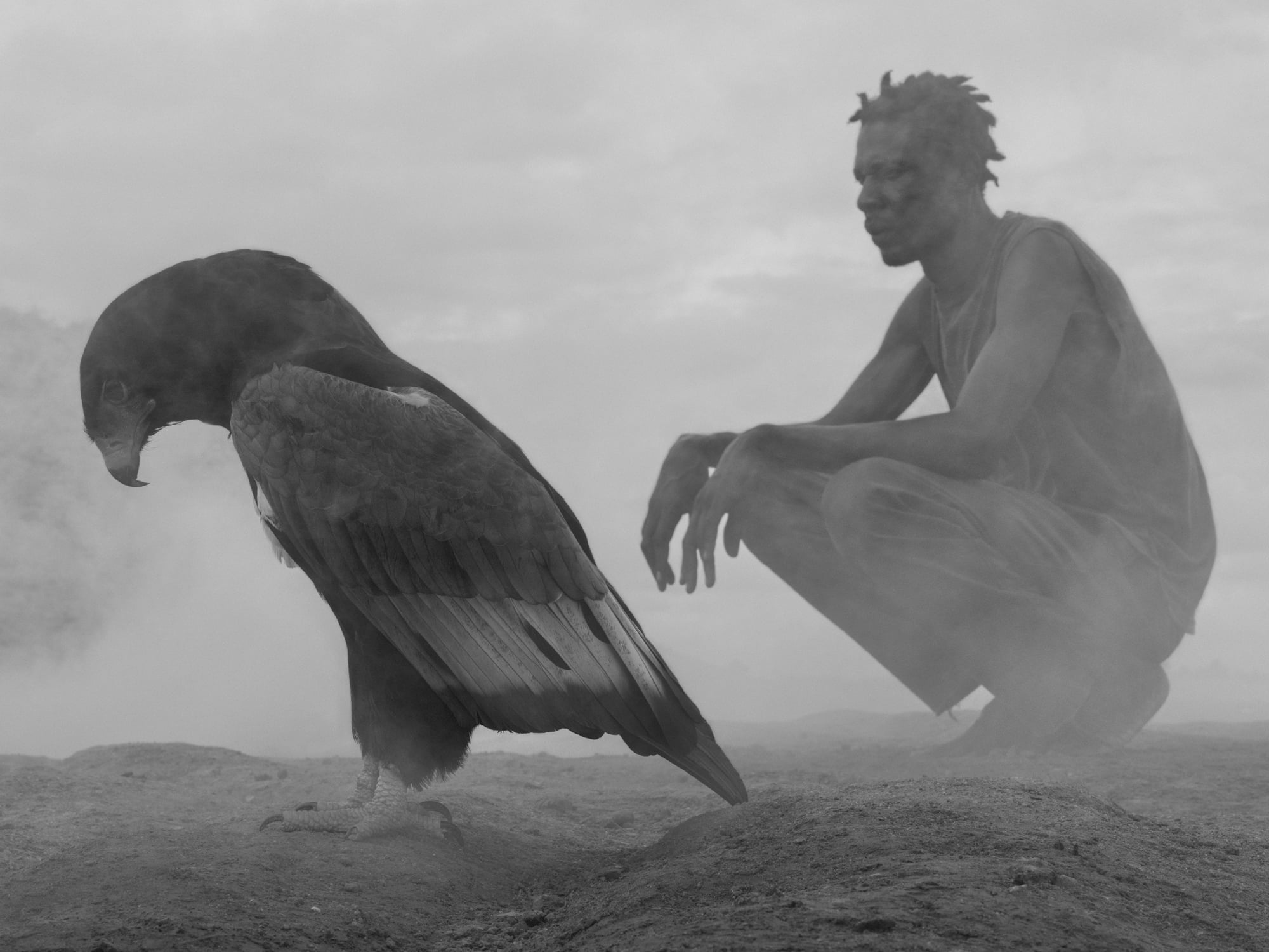 Powerful Photos of Animals and People Affected by Climate Change ...