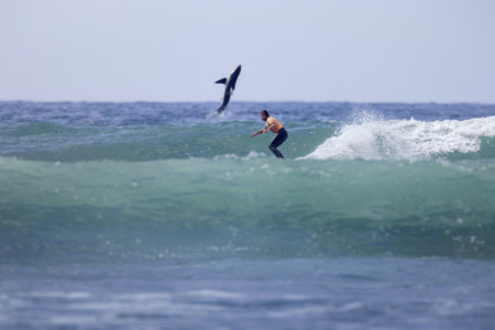 Photographer Catches Great White Shark Exploding Out of the Water ...